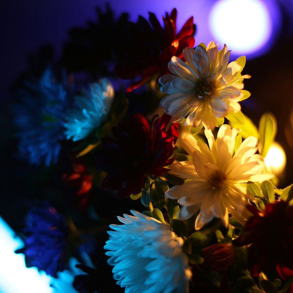 RGB Film Lights 101: Everything You Need to Know – ZHIYUN Store